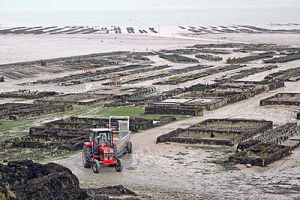 Shellfish Farms - MSP Knowledge Base