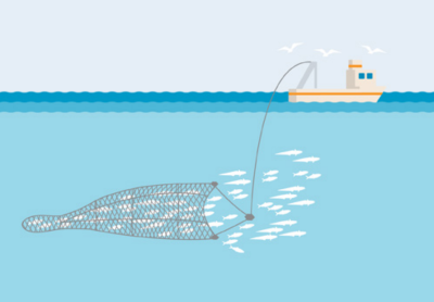 Industrial and Pelagic Trawl Catch - MSP Knowledge Base