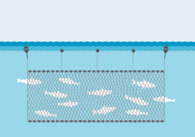 Drift and Fixed Nets Catch - MSP Knowledge Base